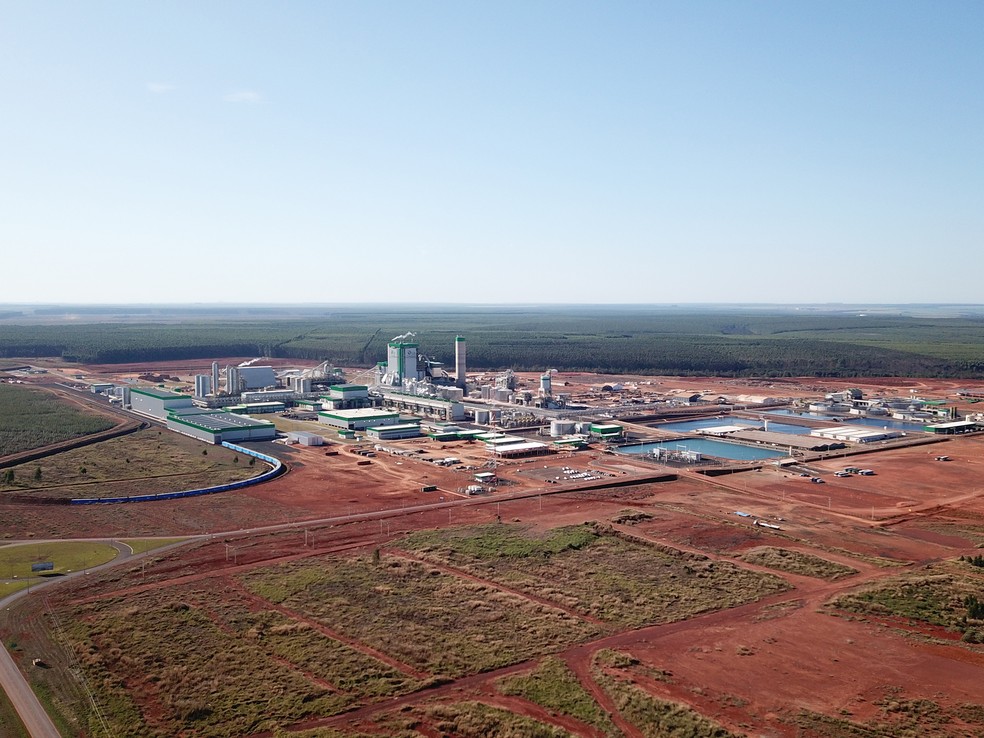 Dexco engages advisors to revamp LD Celulose plant’s financing structure