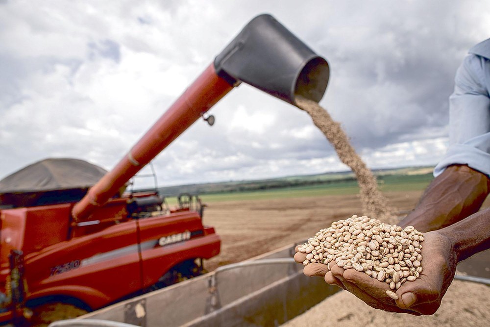 Brazil forecasts record grain harvest for 2025/26 season