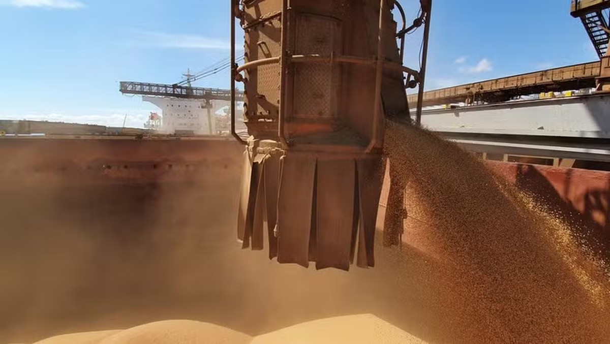 Grain harvest set to hit new record, agency projects