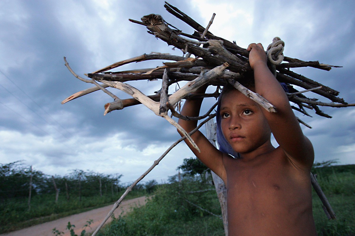 Child labor grows 6.9%, impacts 1.9m children, adolescents in Brazil