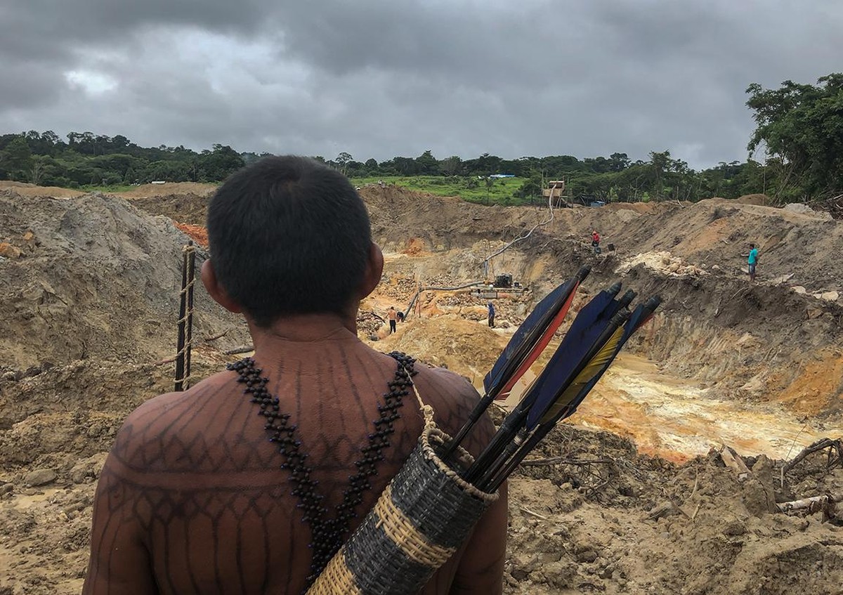 Illegal gold mining affects indigenous lands in Pará, Mato Grosso ...