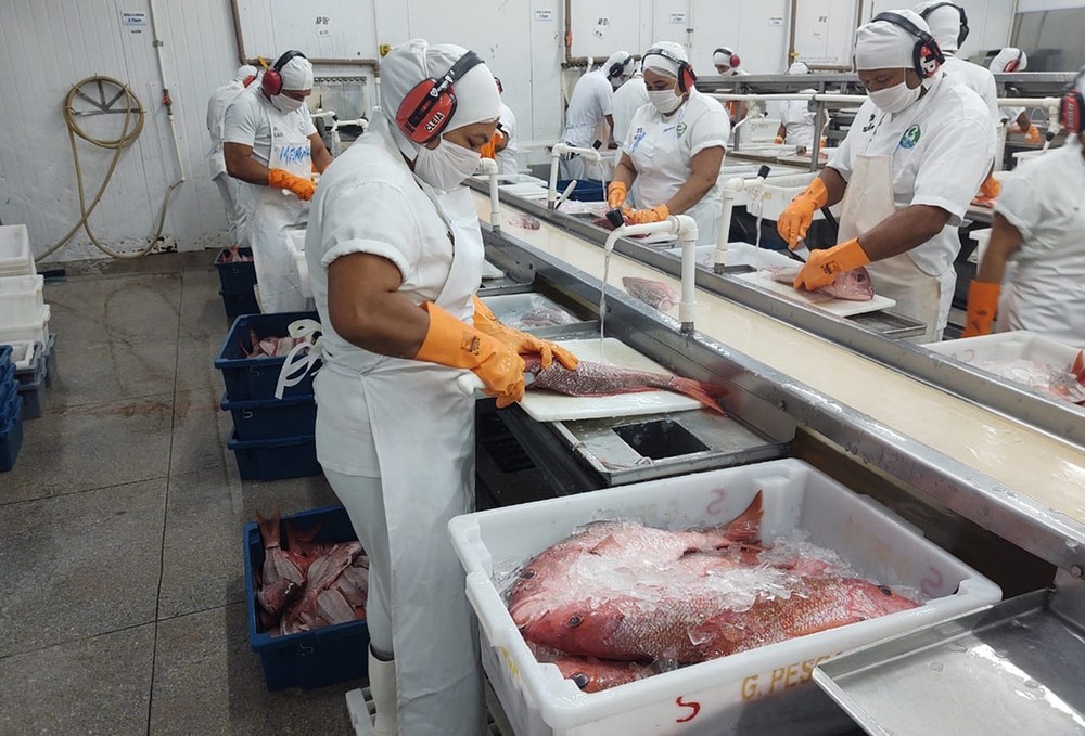 Fish industry halts exports, delays investments on tariff fears