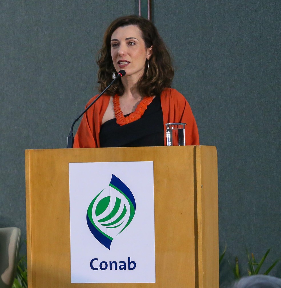 Brazil forecasts record grain harvest in 2025/26