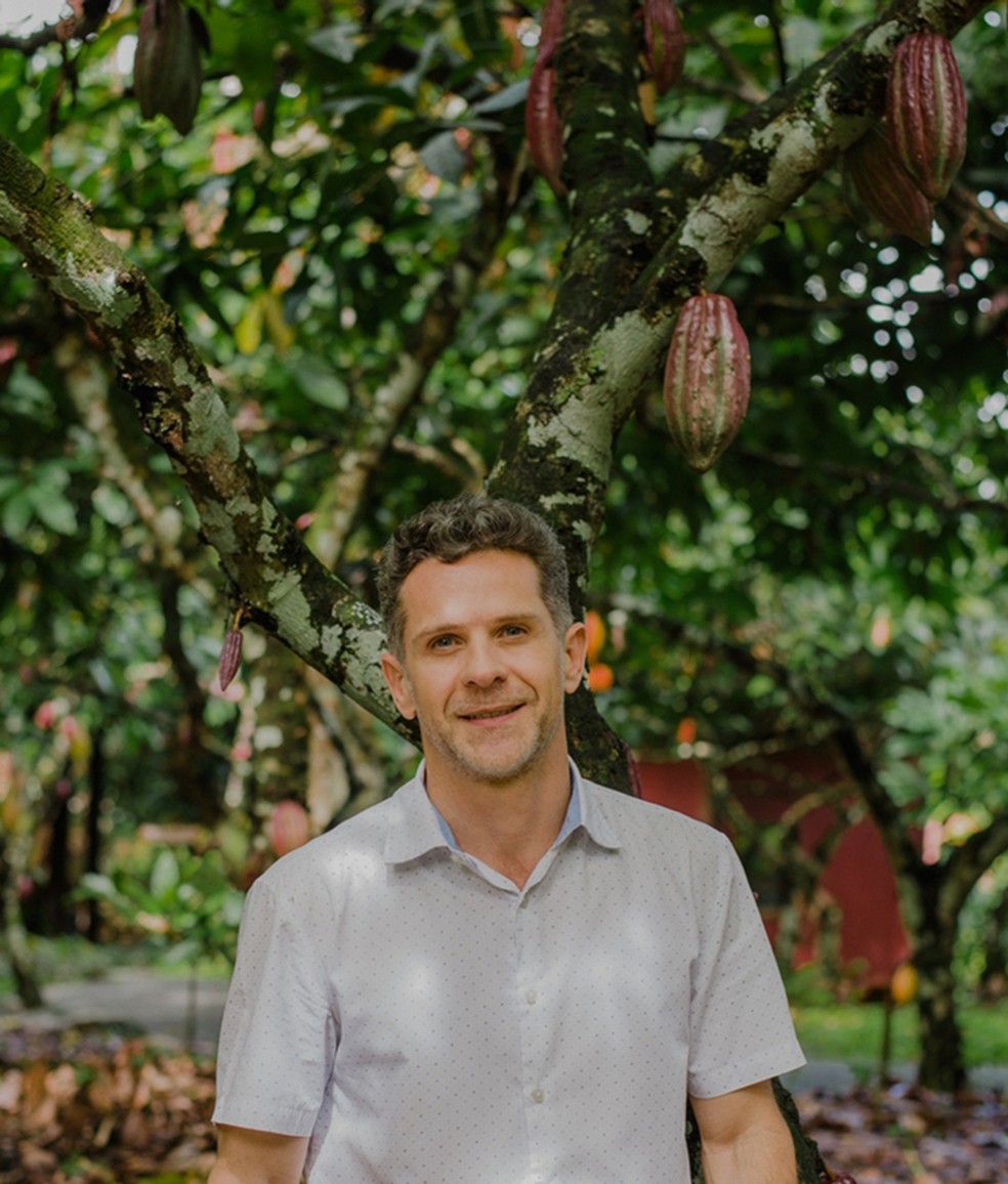 Cocoa enters new pricing era amid global supply-demand gap