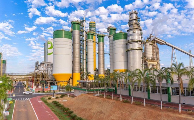Antitrust regulator suspends Paper’s rights in Eldorado