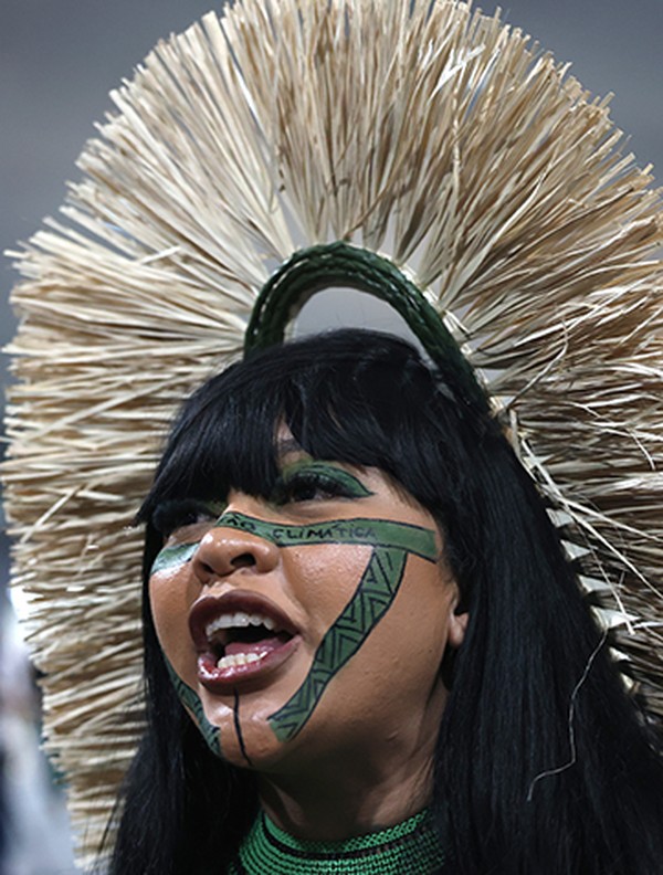 ‘Erased’ from Brazil’s population, Indigenous DNA survives mainly ...