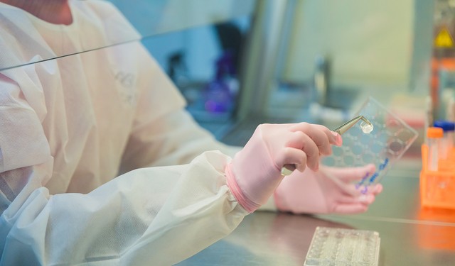 Ban on animal testing to boost investments in beauty industry