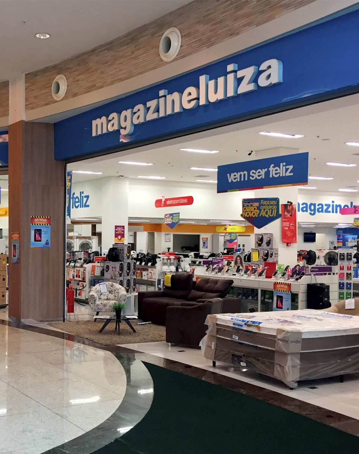 Magazine Luiza’s owners consider capital injection | Business ...