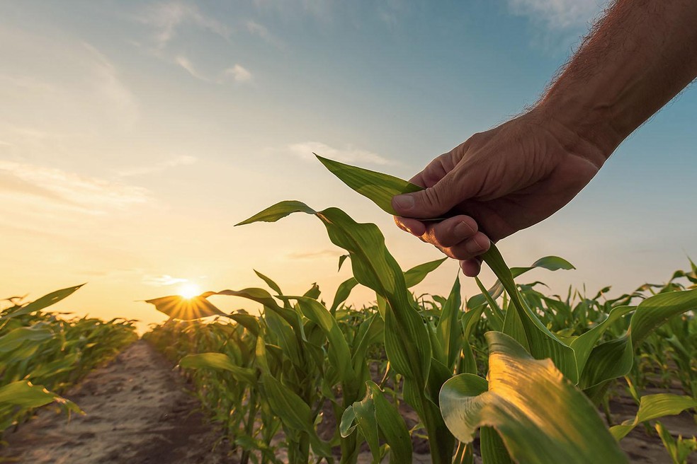 Under fire for new Crop Plan, Finance Minister blames fiscal constraints