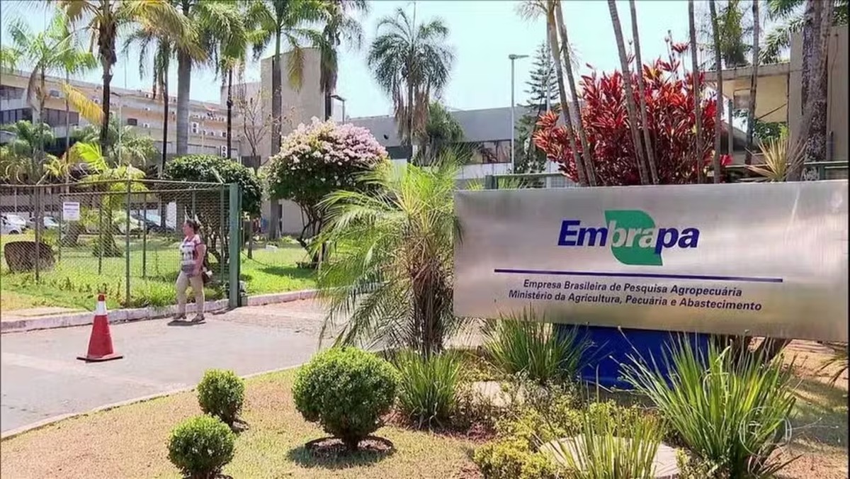 Agricultural Research Corporation’s budget set to shrink again in 2025