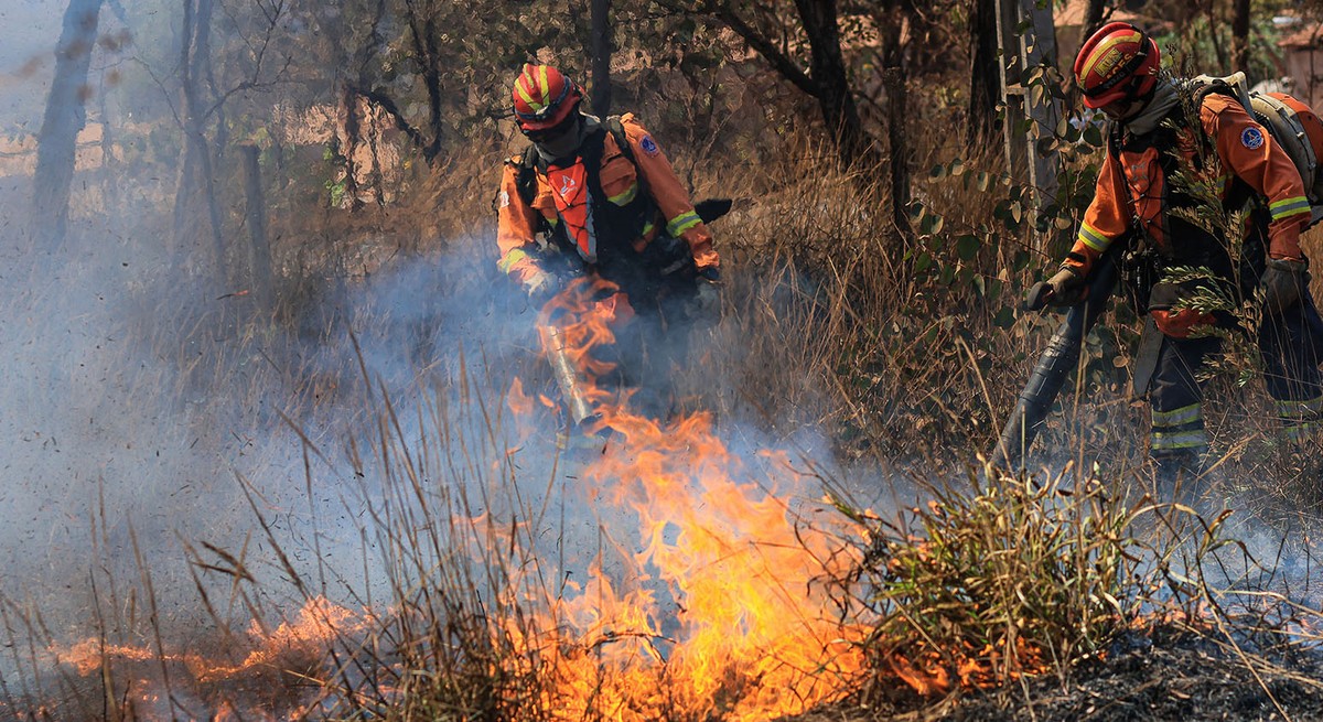 National Force firefighters to be deployed to the Amazon