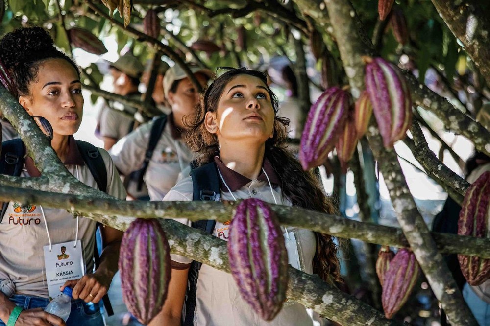 As prices skyrocket, cocoa enters life plans of young people in ...