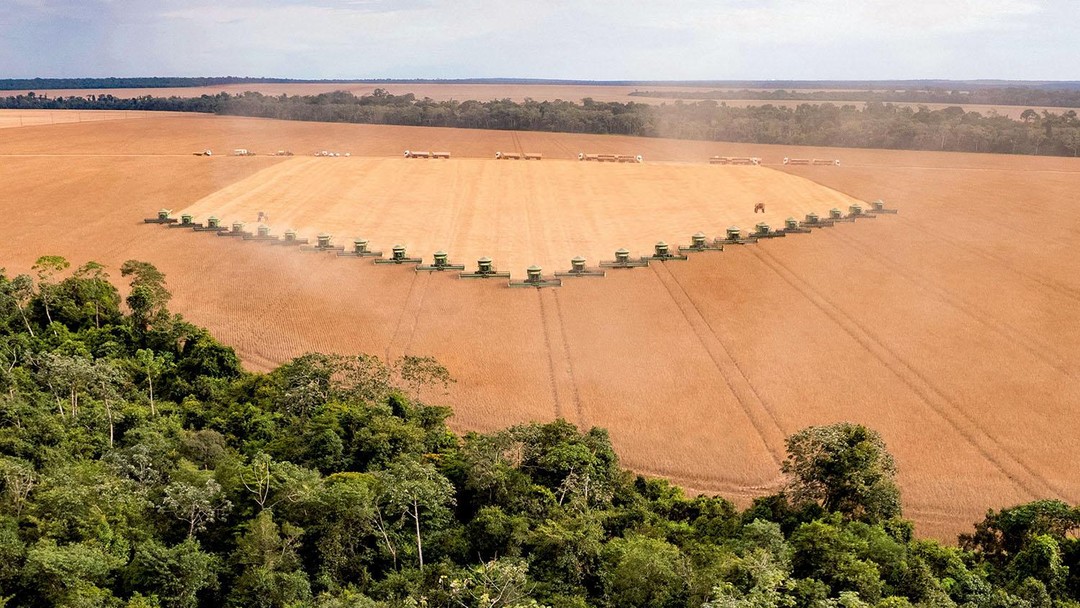 LDC to produce biogas from citrus effluents at new Brazilian plant ...