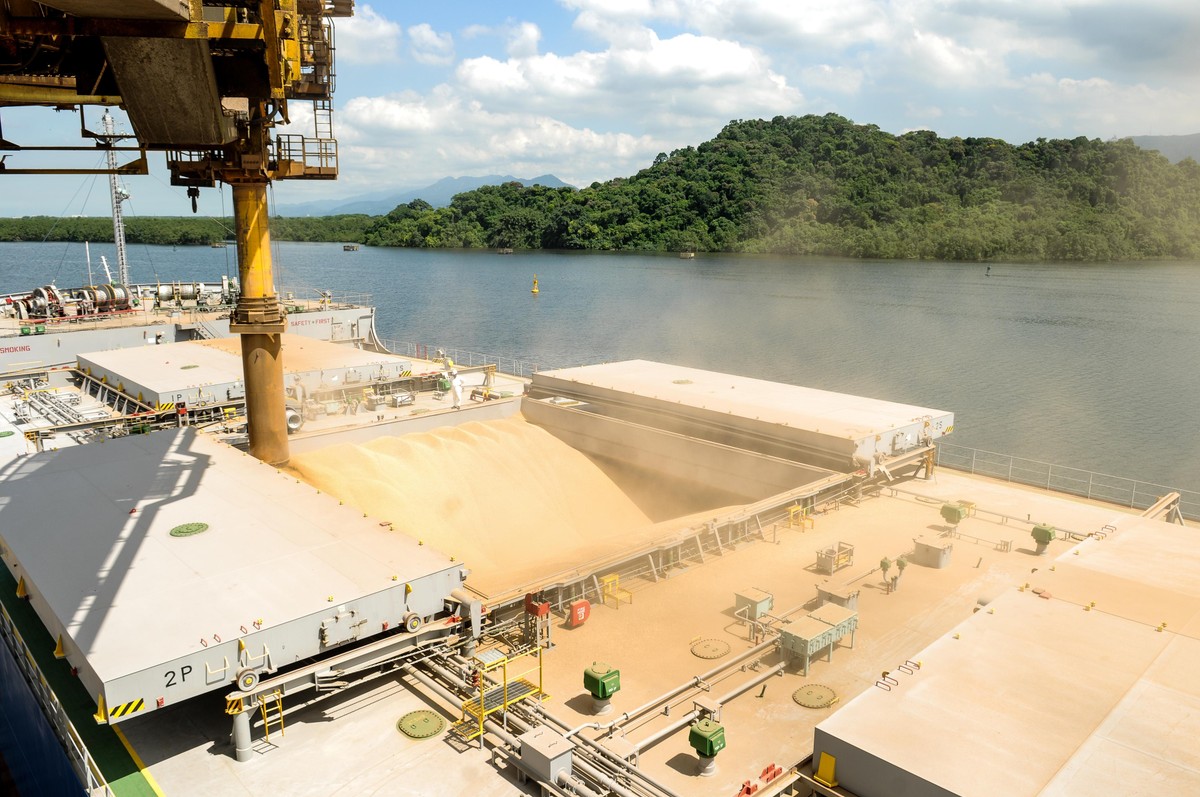 Commodities account for 70% of Brazilian exports