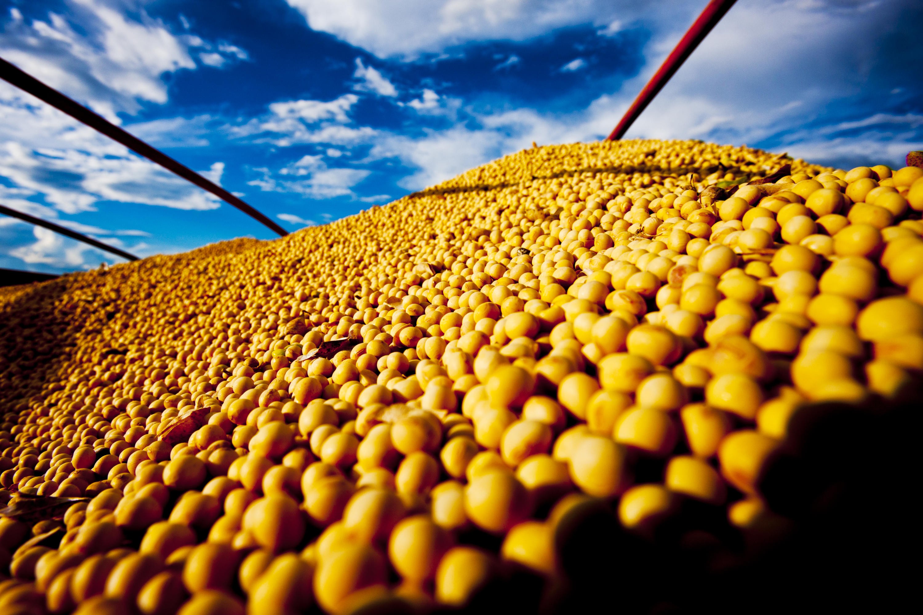 Lower prices push Brazil’s commodity index down