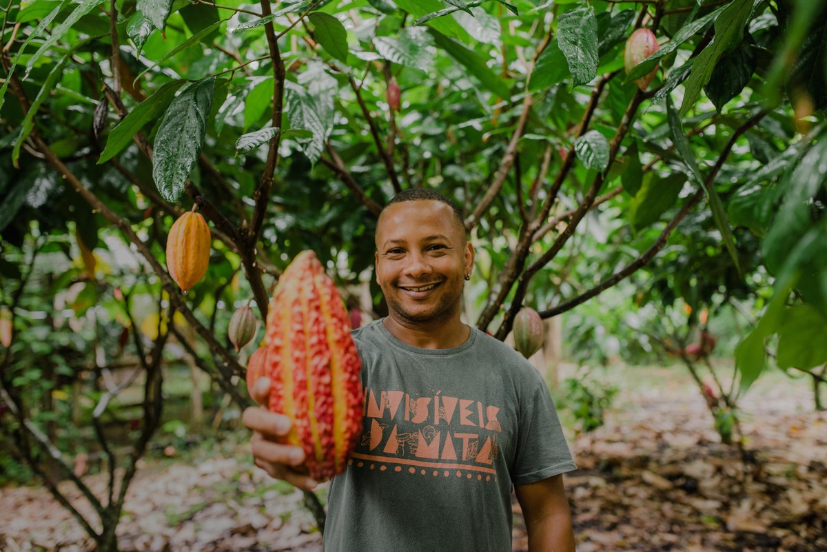 Organic cacao changes lives of settlers in southern Bahia