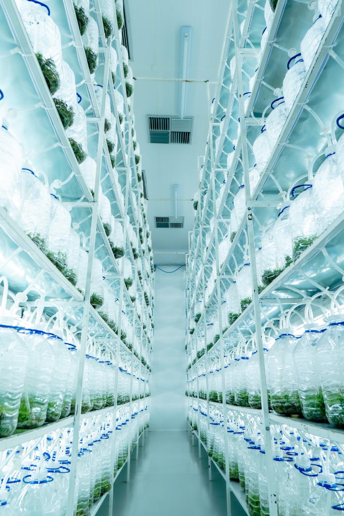 Acelen’s R$12 billion project gets off the ground in Bahia