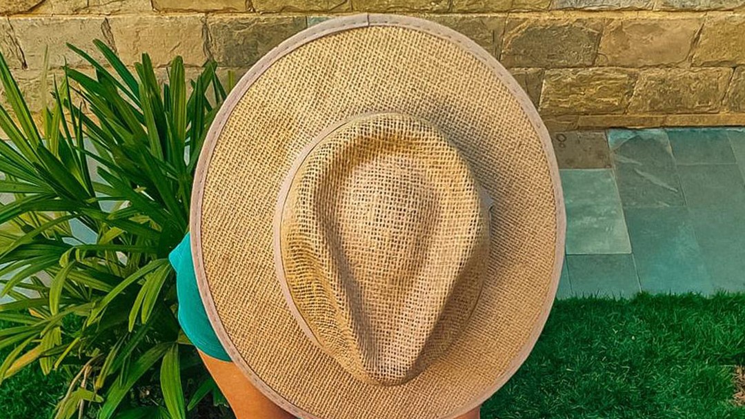 Brazil-Mexico trade has potential, but deal remains elusive