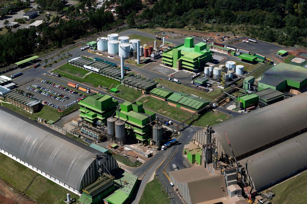 Be8s Profit Soars Nearly 30 Fold In 2024 Agribusiness