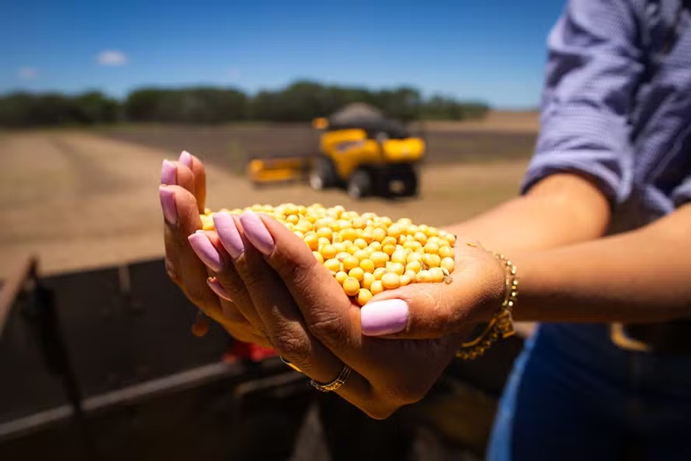 Agribusiness GDP grows 1.26% after two quarters of decline