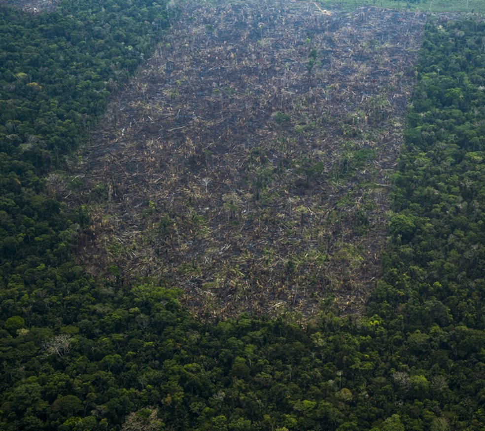 Soy moratorium suspension hits Brazil’s image