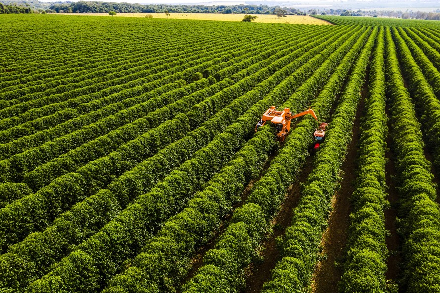Brazilian farms face patchy internet access