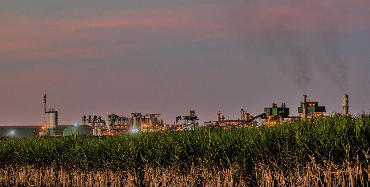 Bunge, BP put joint venture up for sale