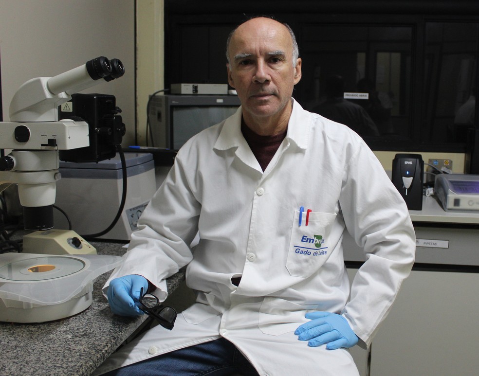 Gene editing advances in creation of new generation of foods