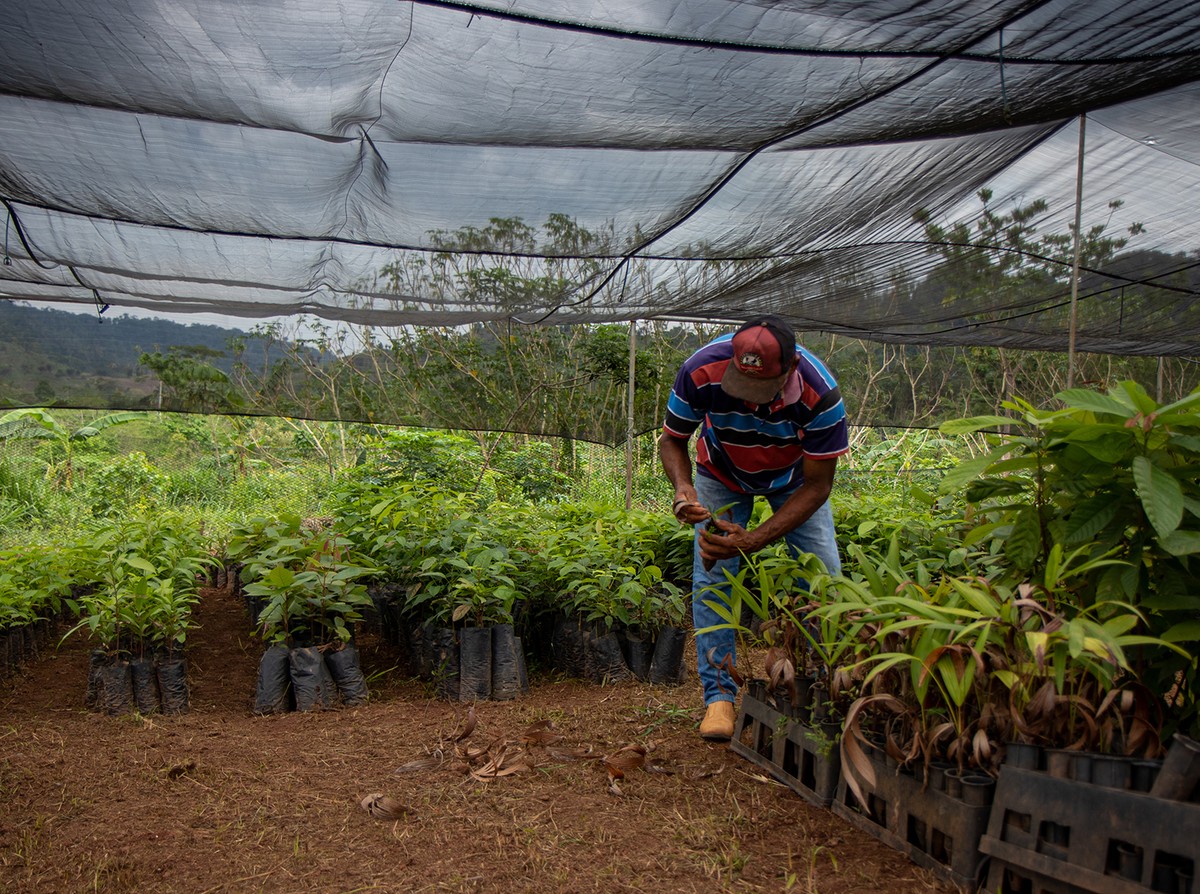 Brazil gains showcase for sustainability projects | Environment ...