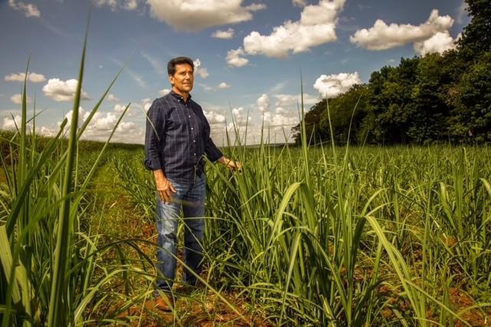 Tariffs squeeze Brazil’s organic sugar exports