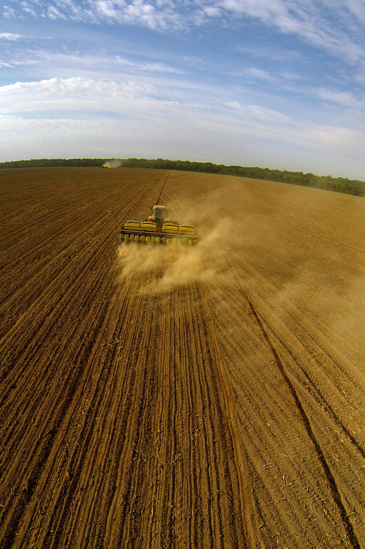 Soybean acreage to expand at slowest pace in nearly two decades
