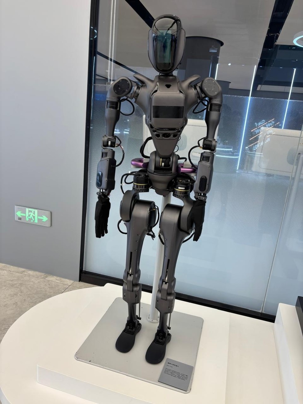 Humanoid robots redefine work, interaction in healthcare
