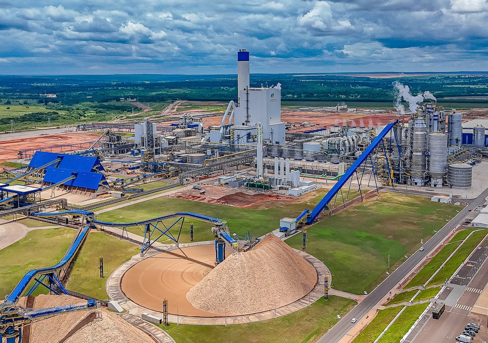 Trump tariffs push Brazilian companies to invest in the U.S.