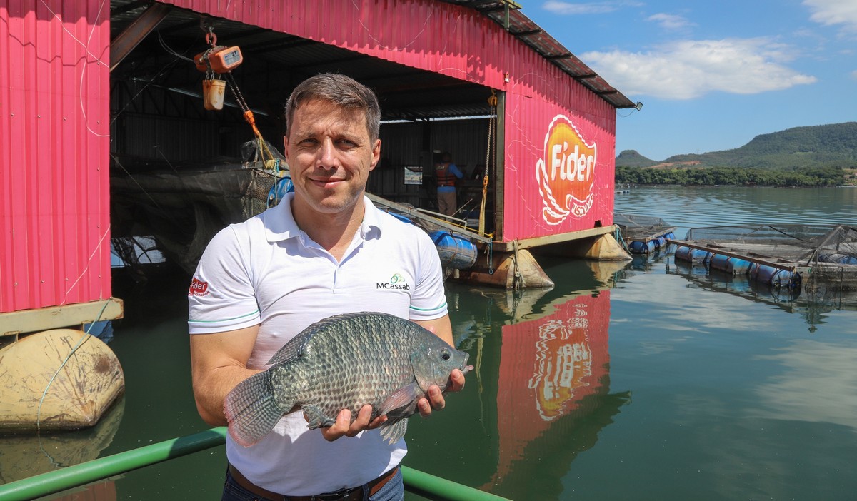 Meat and fish industries already facing losses from U.S. tariff