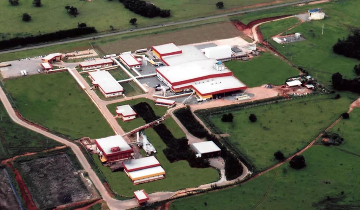 Poultry, swine companies in search of investors | Business ...