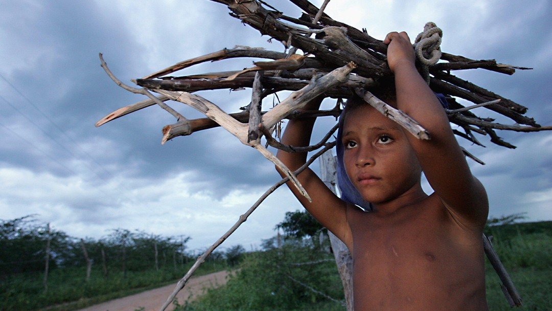 Functional illiteracy rate stuck at 29%, six years later | Politics ...