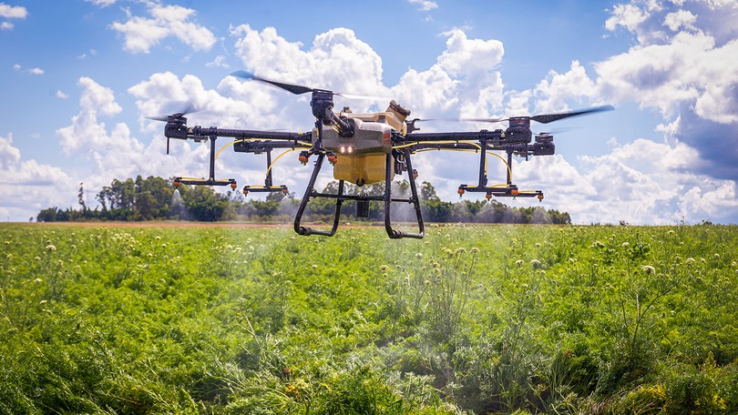 Unilever launches new Dove haircare line in Brazil after nearly a decade