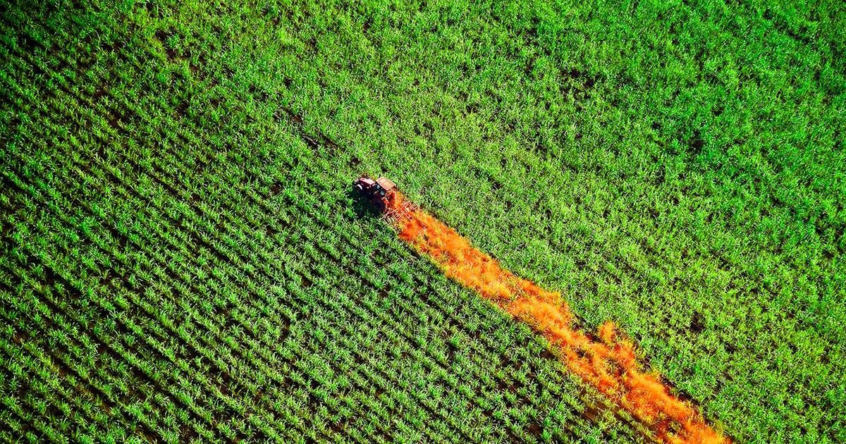 Ethanol hits record despite cane shortfall in Brazil’s Center-South