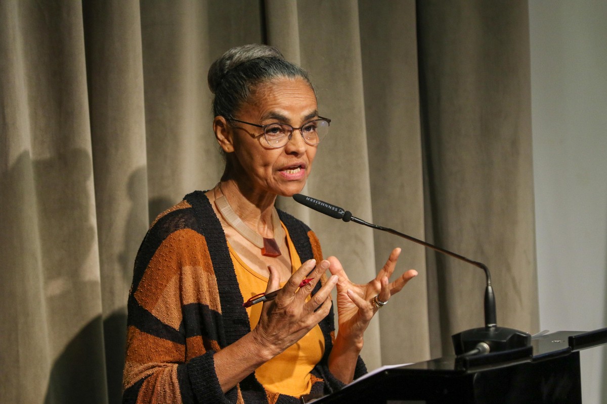 Marina Silva predicts 50% drop in Amazon deforestation