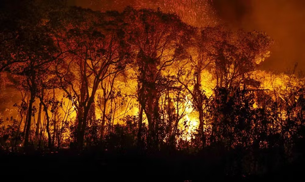 Justice Ministry proposes bill to toughen penalties for environmental ...