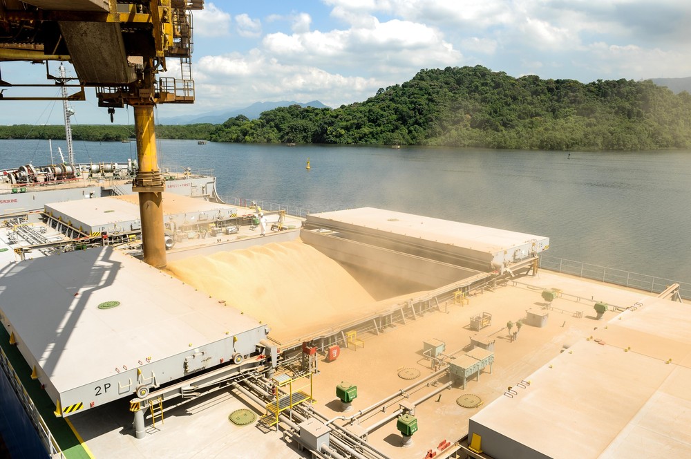 Commodities account for 70% of Brazilian exports