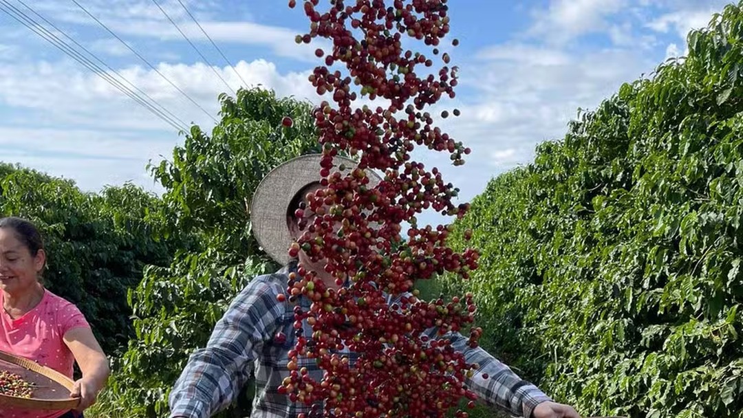 Raízen shuts down Santa Elisa mill; the end of an era | Agribusiness ...