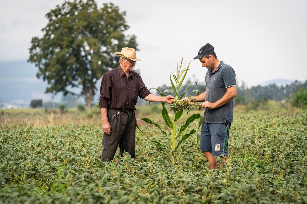 Southern Brazil’s flood-hit farmers face uncertain future