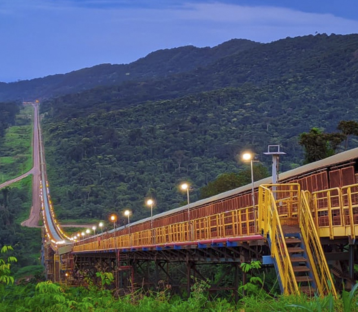 Future Vale CEO focuses on strengthening government relations